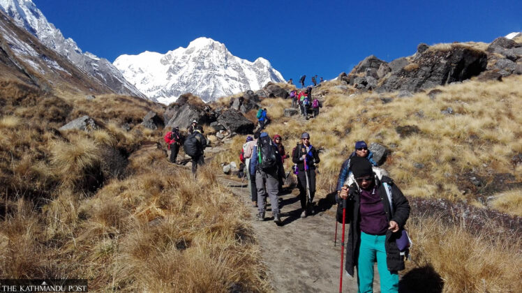 What is Trekking? Types of Trekking and meaning to you - Mihi Travel